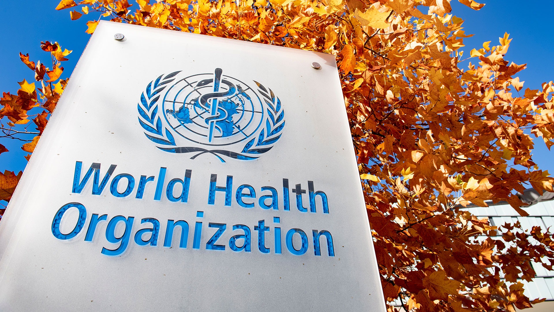 75 lat Światowej Organizacji Zdrowia (WHO) - Praktyczny serwis dla farmaceutów - Farmacja Praktyczna