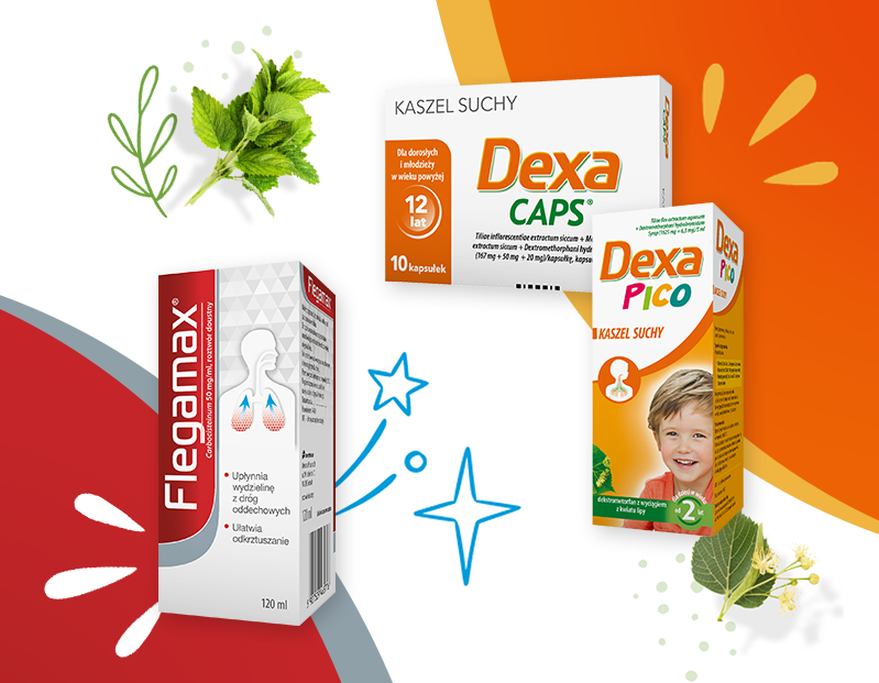 Szkolenie - Dexa Pico, Dexa Caps, Flegamax - Praktyczny serwis dla ...
